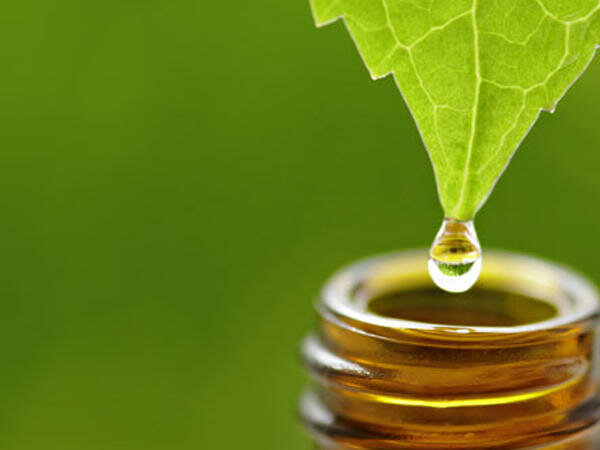 Alternatif tıp merkezleri Quercus Fisioterapia y Naturopatía, Navarra, foto