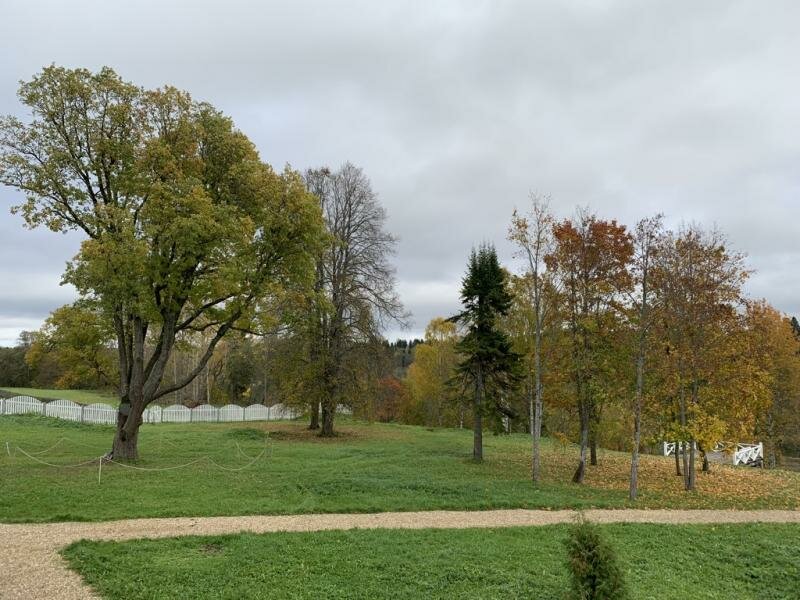 Doğa Черешчатый дуб, Vologodskaya oblastı, foto