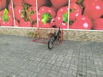Велопарковка (Mira Avenue No:61), bisiklet park yerleri  Kaliningrad'dan