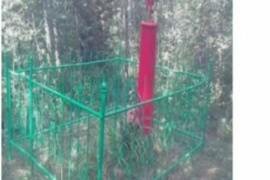 Anıt, heykel Братская могила, Pskovskaya oblastı, foto