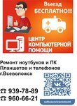 Selta-Service (Tsentralnaya ulitsa No:4, Yuzhniy Microdistrict), bilgisayar teknik servisleri  Vsevolgsk'tan
