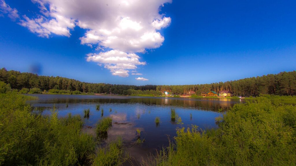 Resort oteller, tesisler Cottage in Timiryazevo, Tomskaya oblastı, foto