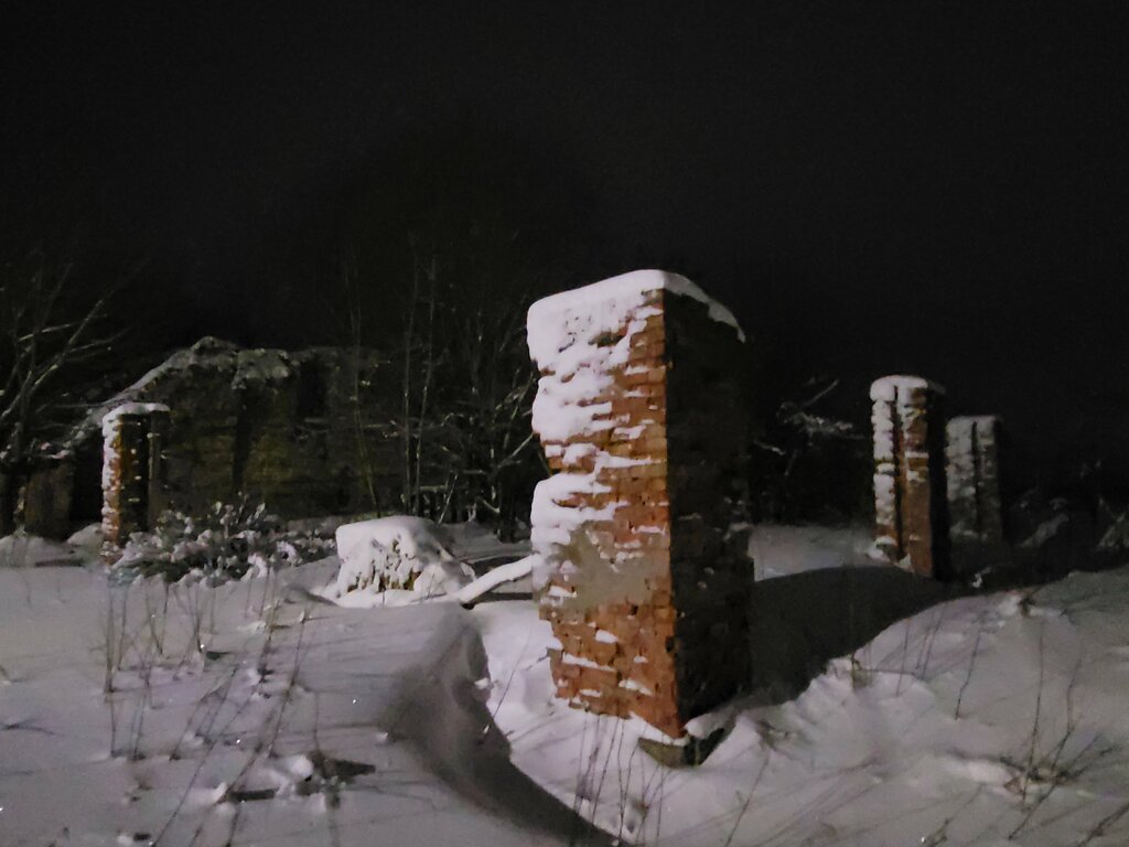 Turistik yerler Хозяйственные постройки усадьбы Боровская, Saint‑Petersburg ve Leningradskaya oblastı, foto