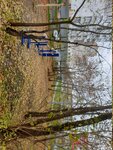 Sports ground (Stakhanovskaya Street No:29), spor alanı  Perm'den
