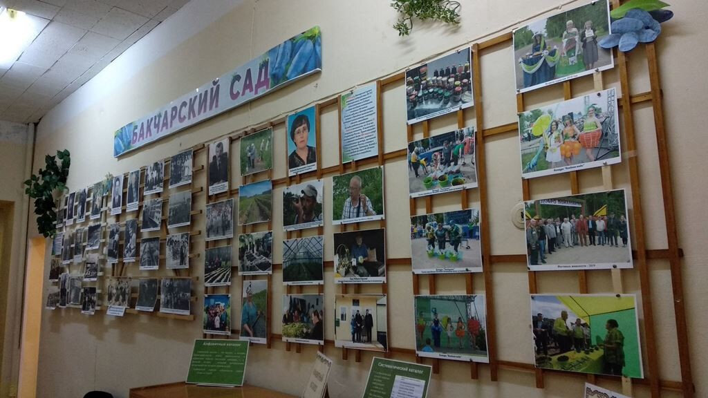 Kütüphaneler Бакчарская центральная библиотека, Tomskaya oblastı, foto