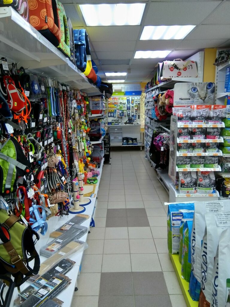 Petshop Mir khvostatykh, Perm, foto