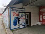 Корелла (ulitsa Rozy Lyuksemburg No:215Б), petshop  Irkutsk'tan