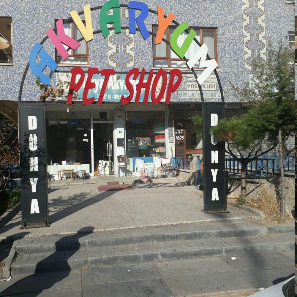 Petshop Şahin Akvaryum Pet Shop, Ankara, foto