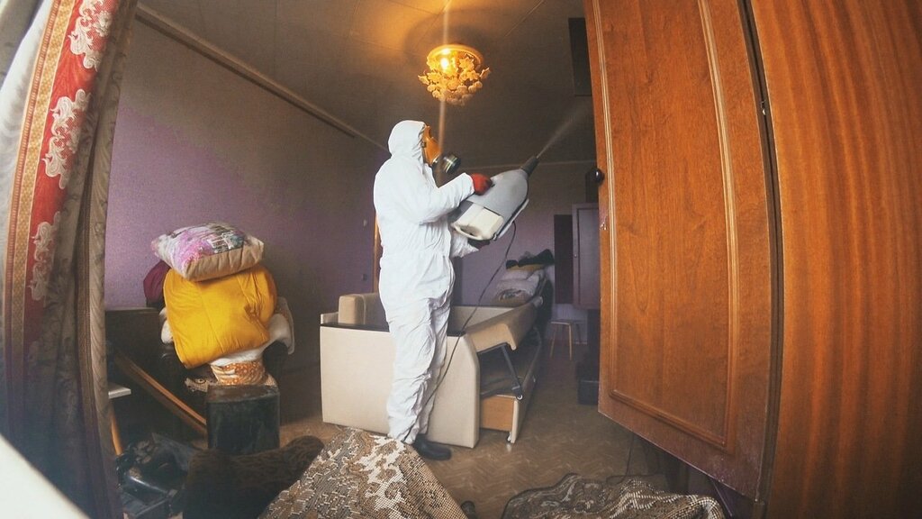 Haşere ilaçlama firmaları Ses-goroda-odintsovo, Stupino, foto