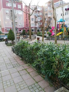 Seyyid Ömer Havuzlu Parkı (Seyyid Ömer Mah., Hüseyin Kazım Sok., Fatih, İstanbul), parklar ve ormanlar  İstanbul'dan