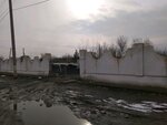 Coal Company (Samarkand Region, Samarqand halqa yoʻli), kömür firmaları  Semerkant'tan