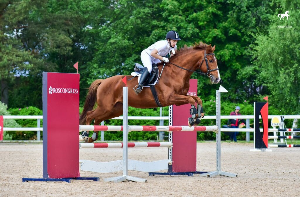 At ve binicilik kulüpleri Конный клуб Кураж, Saint‑Petersburg ve Leningradskaya oblastı, foto