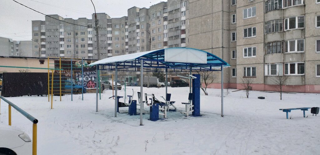 Spor alanı Уличные тренажеры, Vladimir, foto