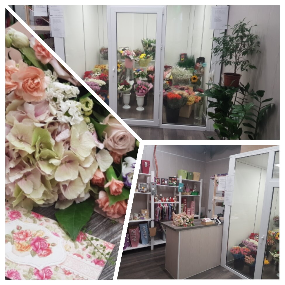 Çiçekçiler Цветы опт & розница, Puşkino, foto