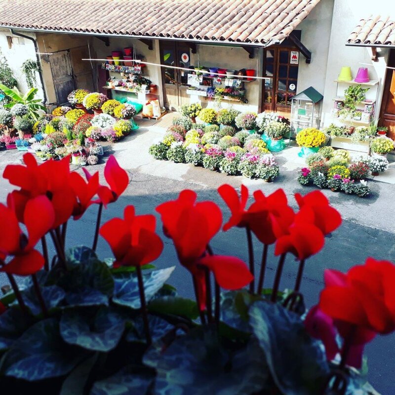 Çiçek teslimatı Mulino Barattero, Piyemonte, foto