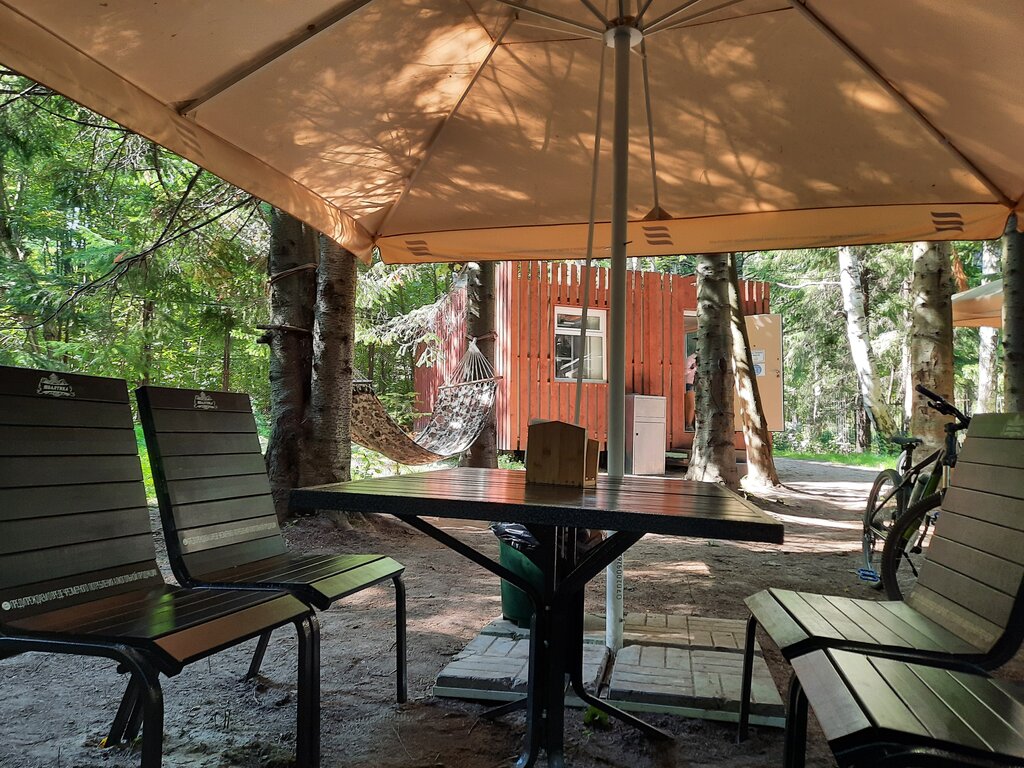 Kafe Eliforeli, Saint‑Petersburg, foto