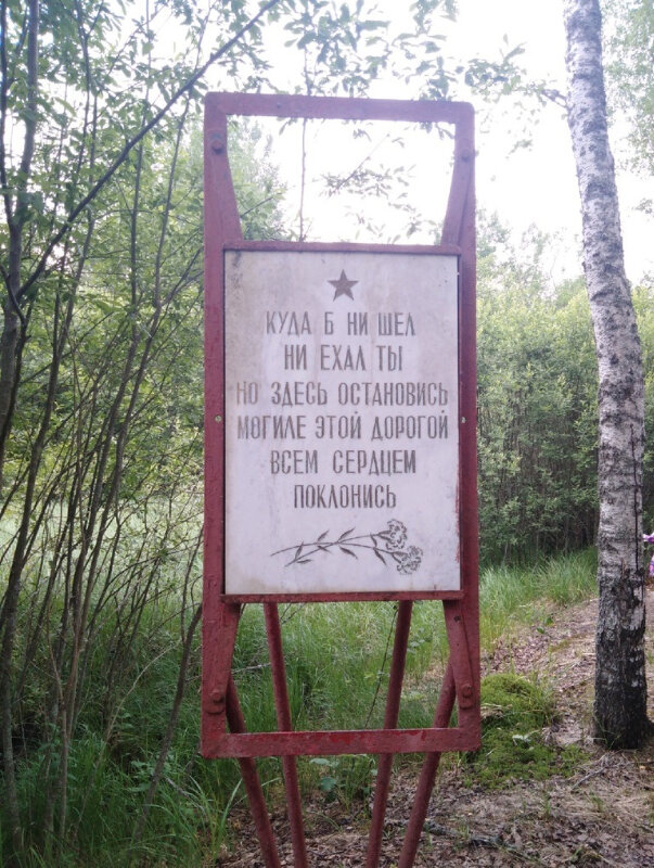 Anıt, heykel Братская могила советских воинов 1942-1943 гг., Novgorodskaya oblastı, foto