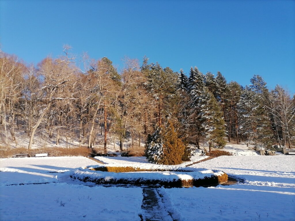 Doğa Клумба Солнце, Kislovodsk, foto