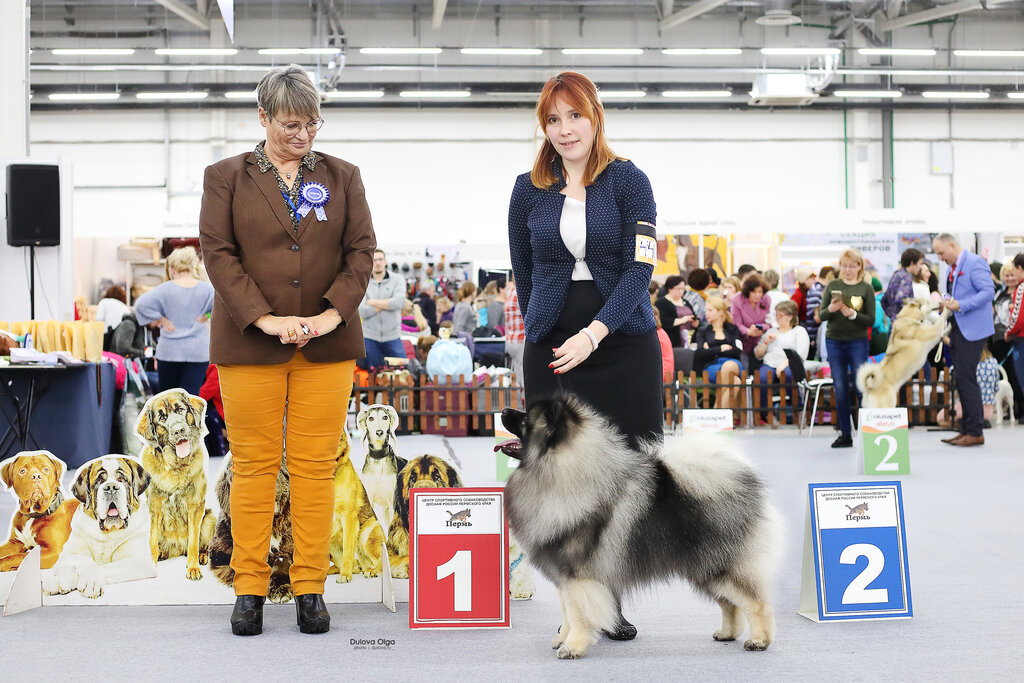 Evcil hayvan yetiştiricileri Almaznyi Istochnik, Nijni Tagil, foto