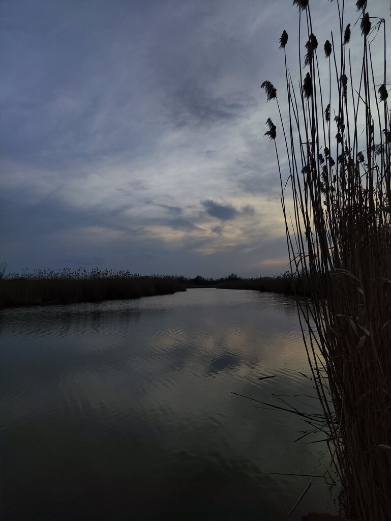 Plaj Пляж, Belgorodskaya oblastı, foto