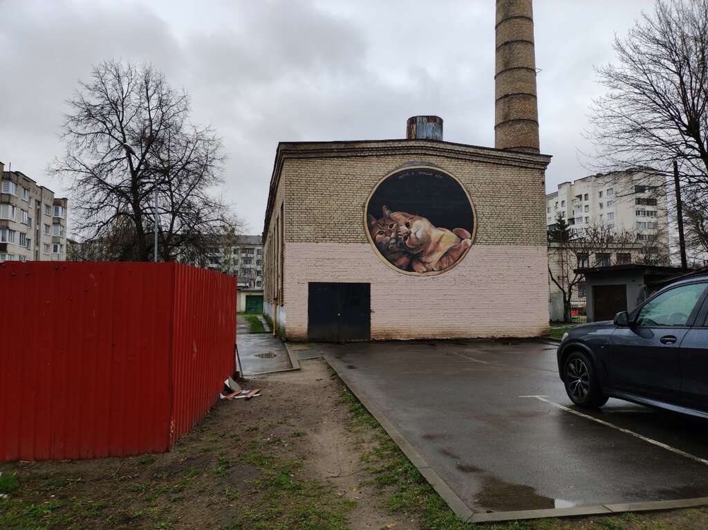 Dekorasyon ve süsleme, onur panosu Космические котики, Brest, foto