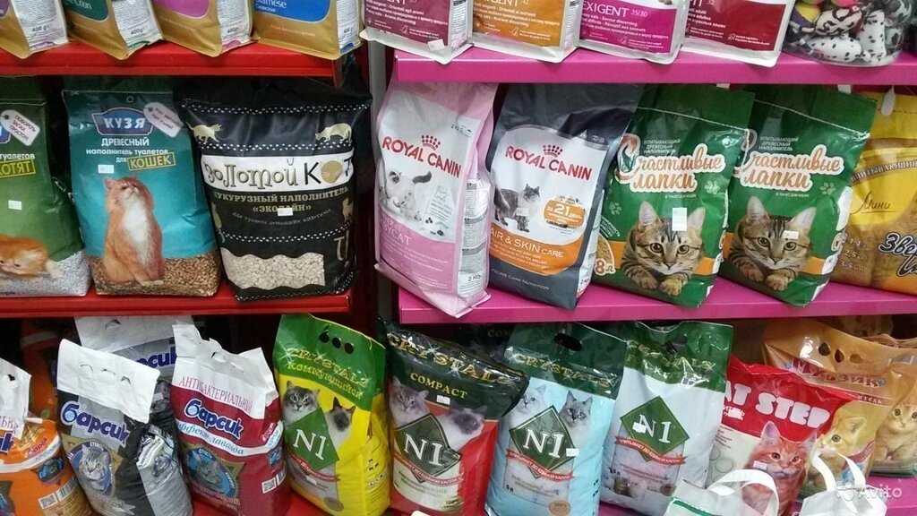 Petshop Zoomagazin Mir Zhivotnykh, Moskova, foto