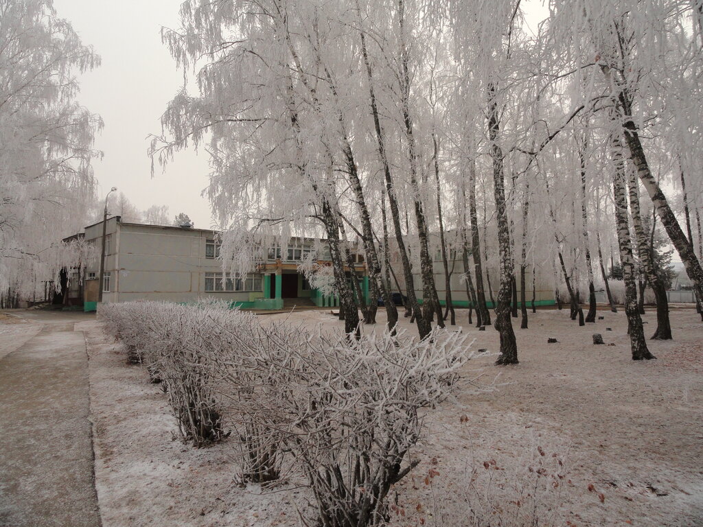 Ortaokul S. Chulki-Sokolovo shkola, Moskova ve Moskovskaya oblastı, foto
