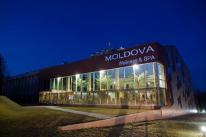Moldova (vulytsia Horodyshche No:12), spa  Truskavets'ten