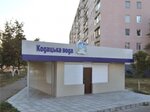 Punkt prodazhi Kodatskaya voda (Heroiv Stalinhrada Avenue No:13), su satışı  Kiev'den