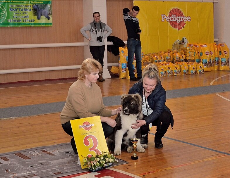 Hayvanat bahçesi merkezi Klub Lyubiteley Zhivotnykh, Mezhregionalny, OO, Pyatigorsk, foto
