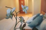 Каммин Апартментс (Krestinskogo Street No:35), pansiyonlar, hosteller  Yekaterinburg'dan