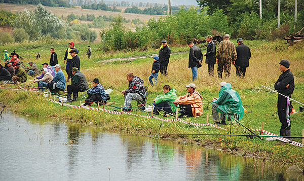 Balık çiftçiliği ve toptancıları Prud Sazon, Belgorodskaya oblastı, foto