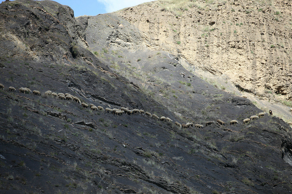 Belediyeler, devlet daireleri Администрация сельского поселения Сельсовет Буршагский МО Агульский район, Dağıstan, foto