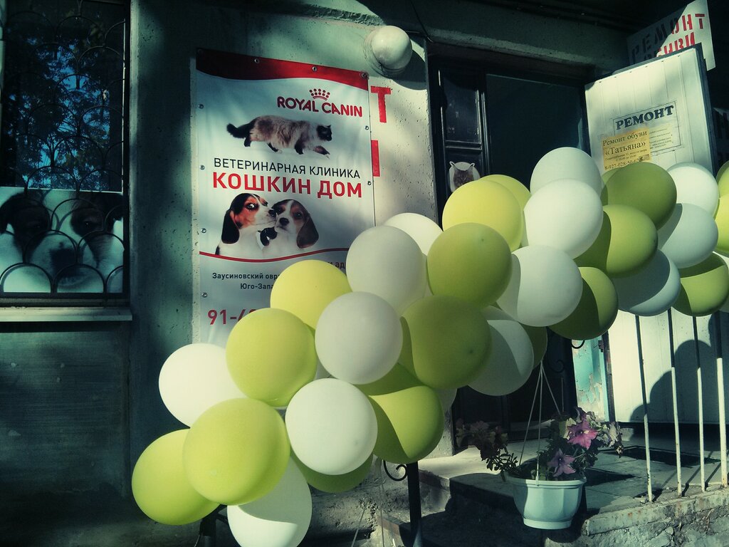 Veteriner klinikleri Koshkin dom, Syzran, foto