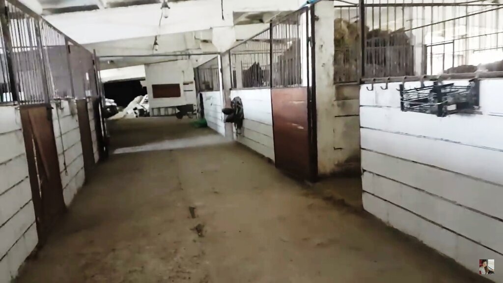 At ve binicilik kulüpleri Конно-спортивный клуб Триумф, Kırım Cumhuriyeti, foto