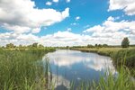 Kottedzhny gorodok Plyuty, ofis prodazh (Kyivska Region, Obukhovskiy District, selo Pliuty, vulytsia Andriia Malyshka), arazi dizisi  Kiev Bölgesi'nden