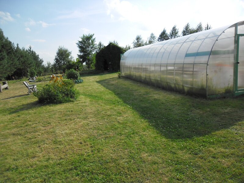 Kamp alanları Rayskiy berezhok, Kalujskaya oblastı, foto