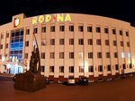 Rodina (vulytsia Sicheslavskyi Shliakh No:20Г), otel  Dniprodzerzhynsk'den