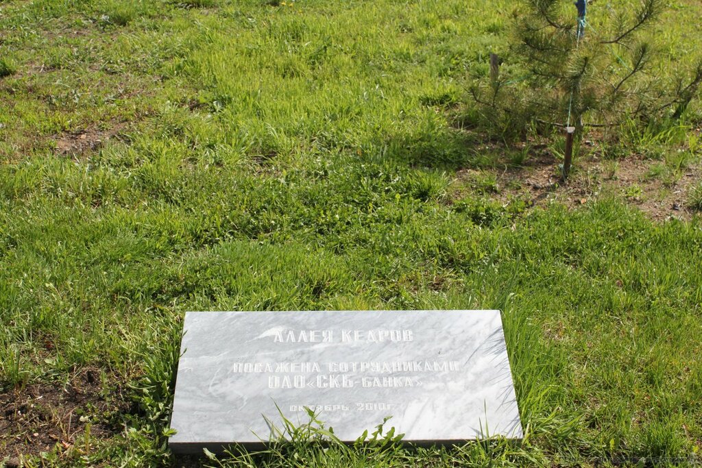 Kültür ve eğlence parkları Alleya kedrov, Nevyansk, foto