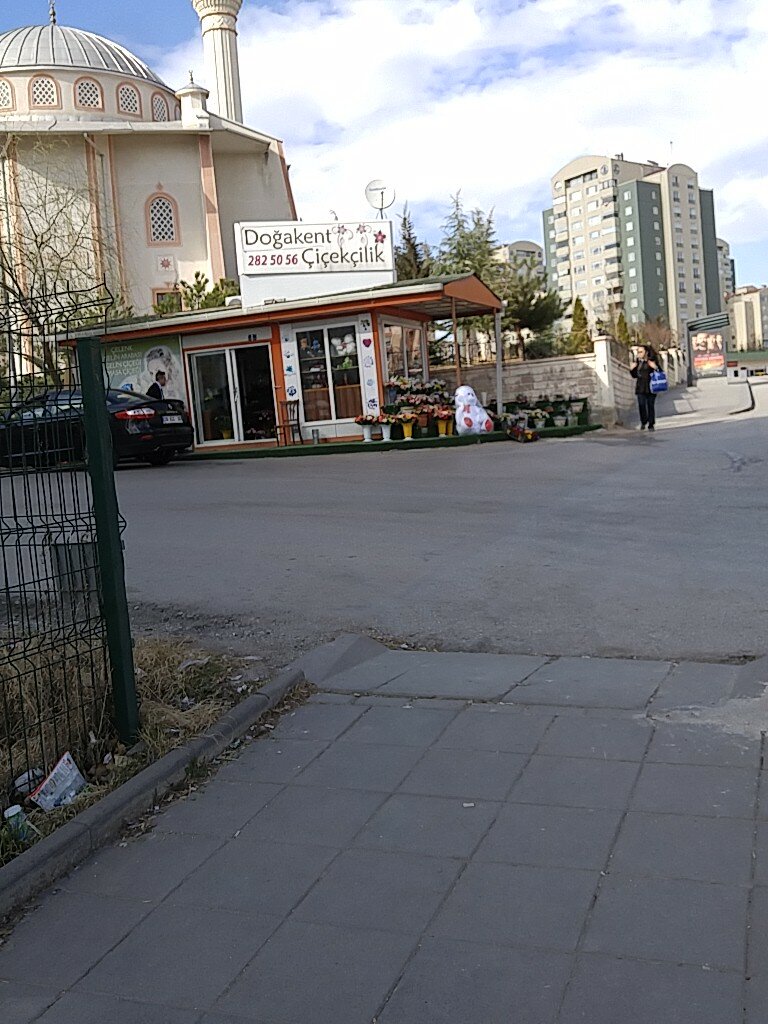 Çiçekçiler Doğakent Çiçekçilik, Ankara, foto