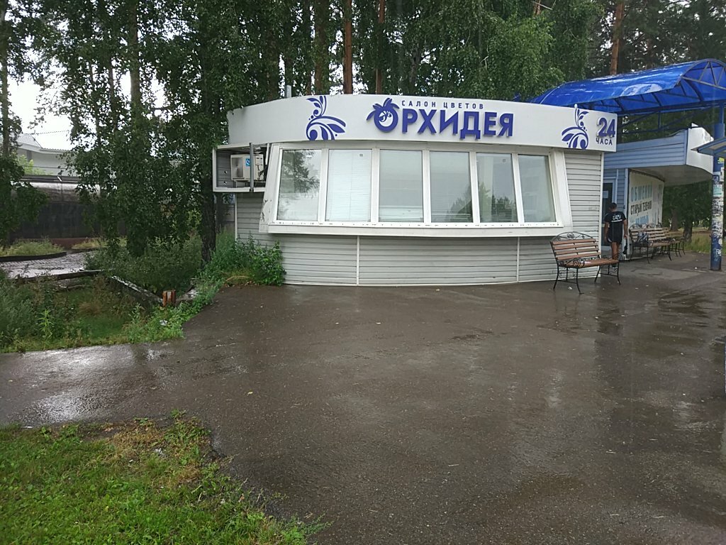 Çiçekçiler Salon tsvetov Orkhideya, Zheleznogorsk, foto