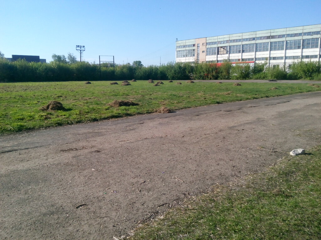 Stadyum Stadion, İvanovo, foto