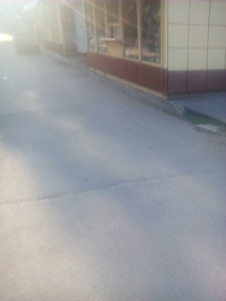 Çiçekçiler tsvetov, Şçolkovo, foto