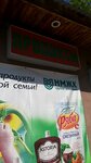 Produkty (ulitsa Voinov-Internatsionalistov No:35, mikrorayon Pervomayskiy), market  Sterlitamak'tan