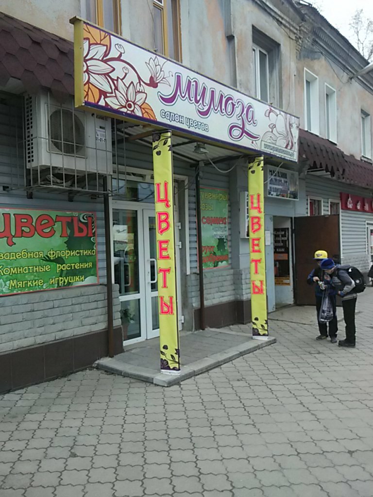 Çiçekçiler Salon tsvetov Mimoza, İvanovo, foto