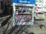 Pressa, Ip Yermoshin V. A. (ulitsa Severny Massiv No:5), gazete bayi  Bataysk'tan