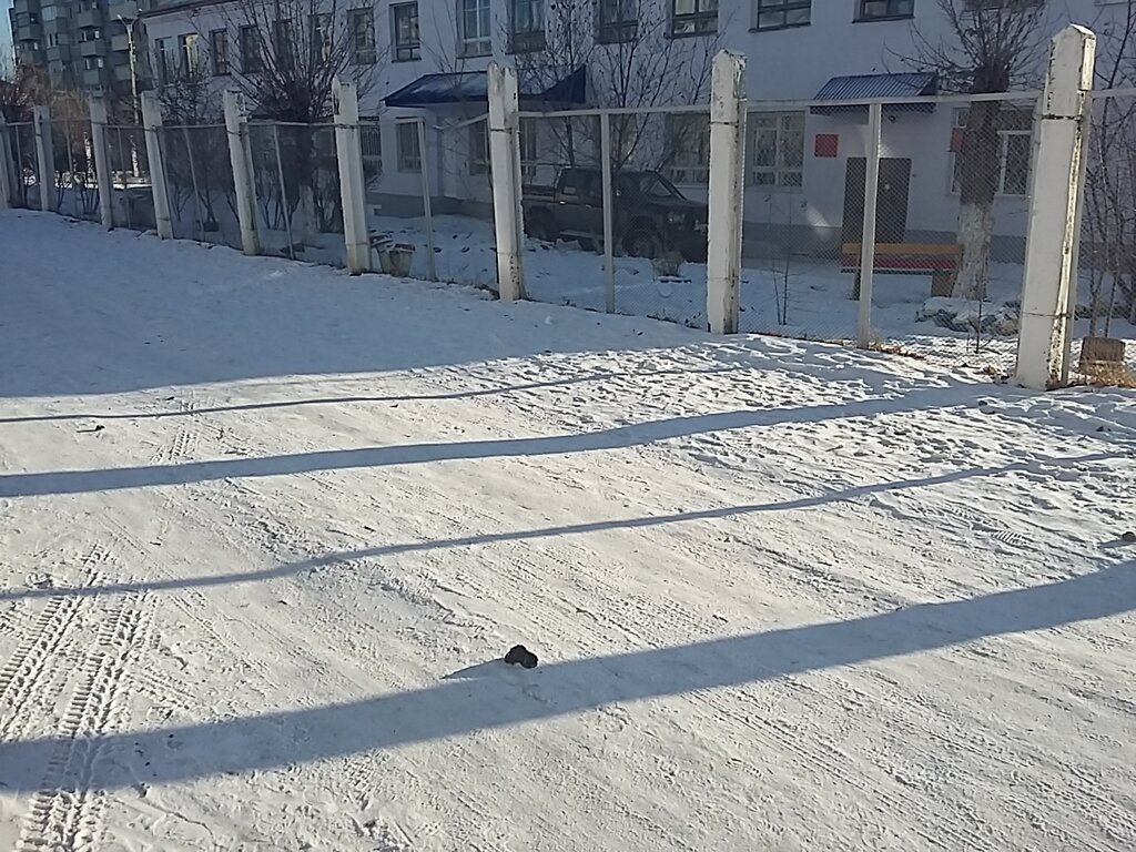 Sosyal yardım kuruluşları Центр социального обслуживания населения Берегиня, Çita, foto