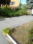Vyshgorodskaya gosudarstvennaya migratsionnaya sluzhba V Ukraine po Kiyevskoy oblasti (вулиця Кургузова No:3), pasaport ve göç hizmetleri  Vishgorod'dan
