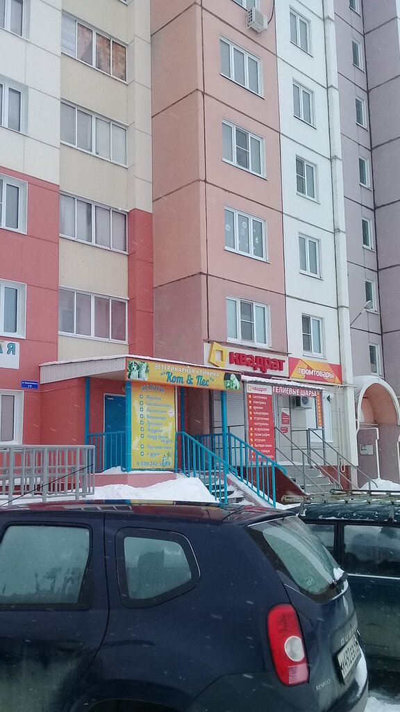 Veteriner klinikleri Veterinarnaya klinika Kot & Pes, Lipetsk, foto
