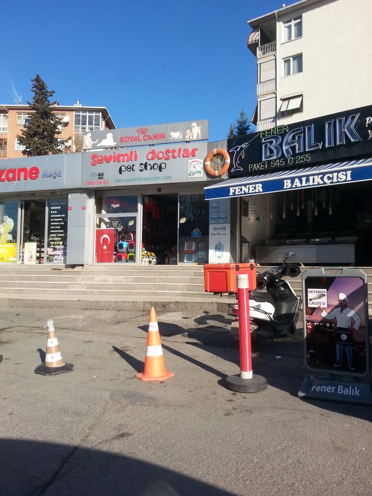 Petshop Sevimli Dostlar Pet Shop, İstanbul, foto